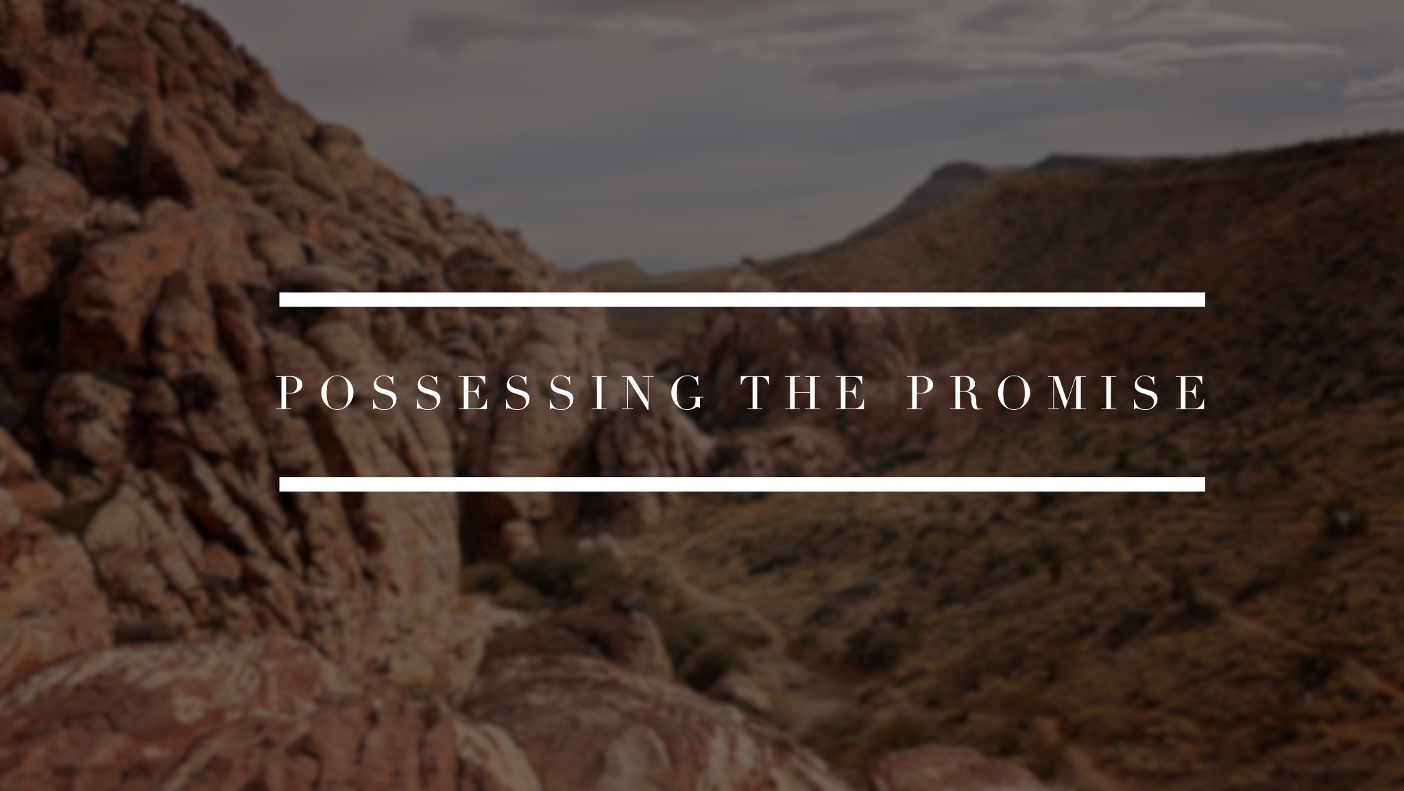 Possessing the Promise | Life To The Fullest