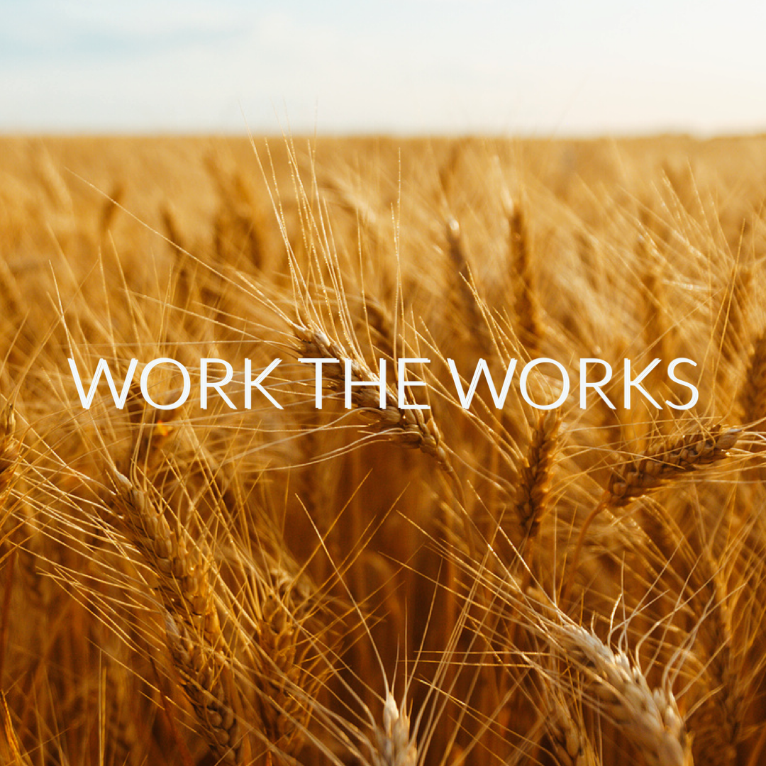 Work the Works | Life To The Fullest