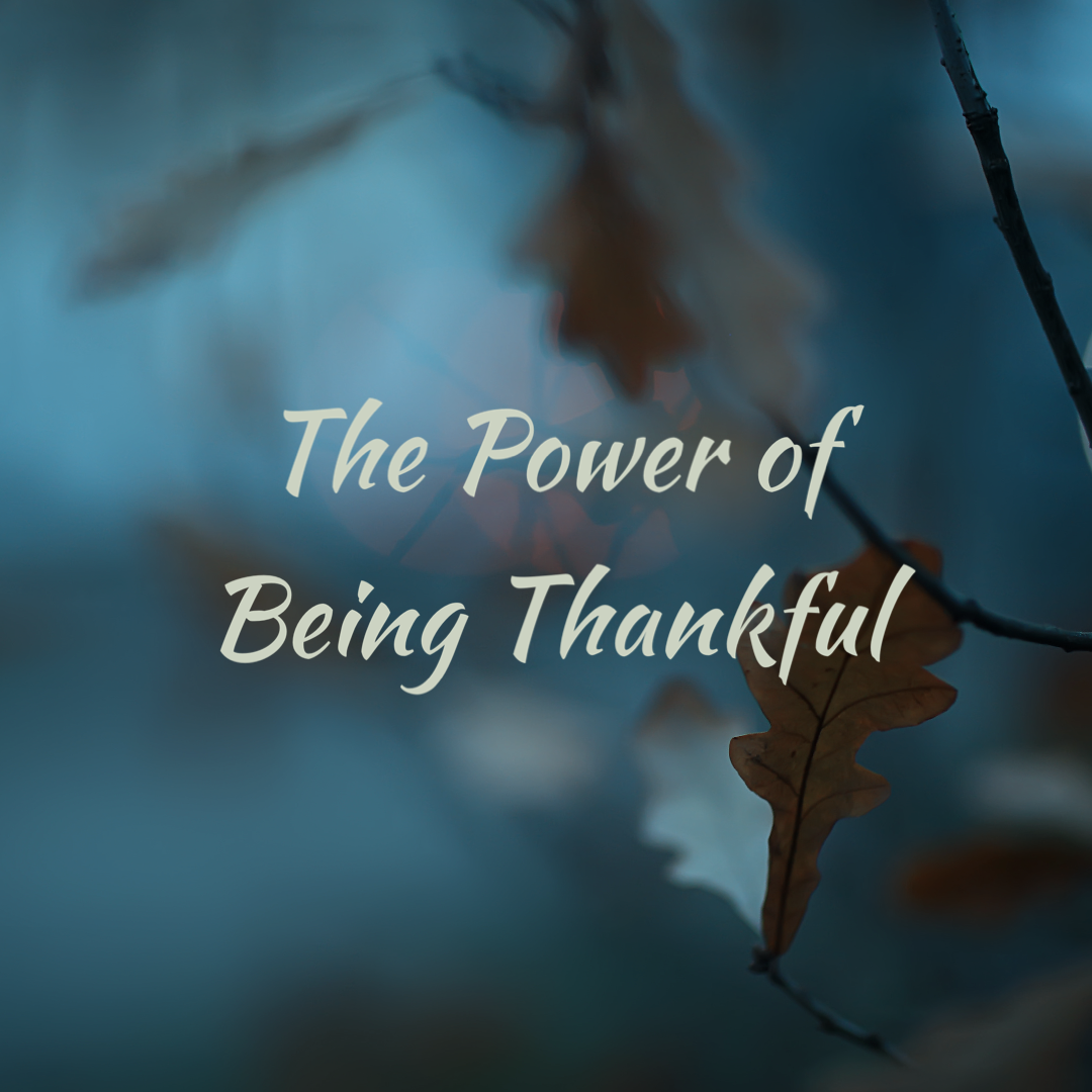 The Power of Being Thankful | Life To The Fullest