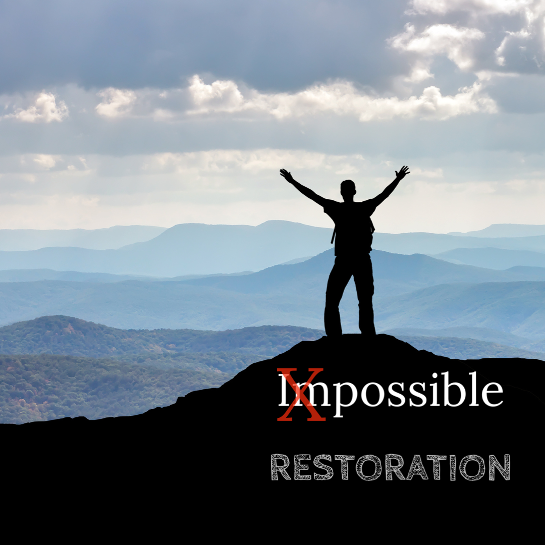 Impossibilities: Restoration Power | Life To The Fullest
