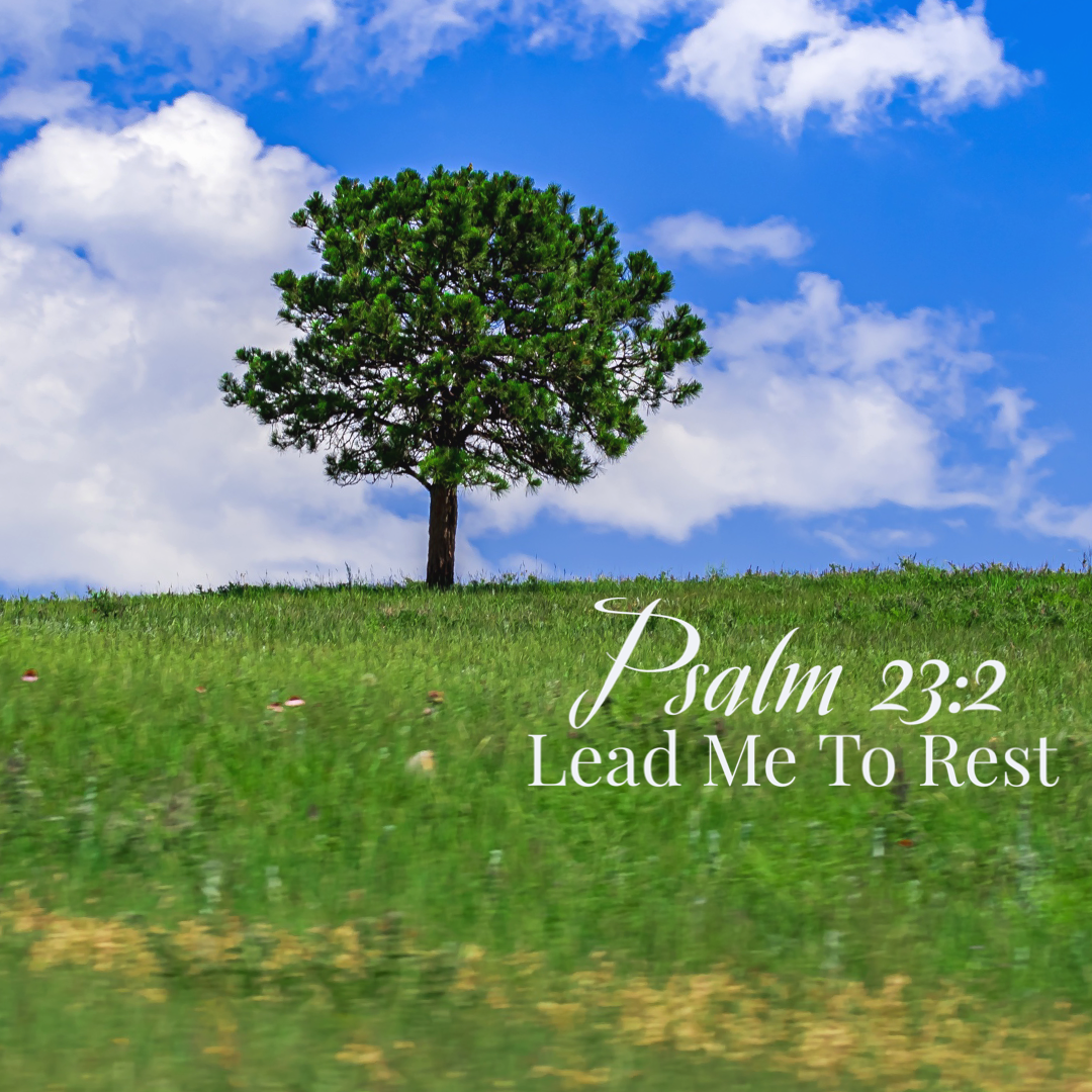 Lead Me To Rest | Life To The Fullest